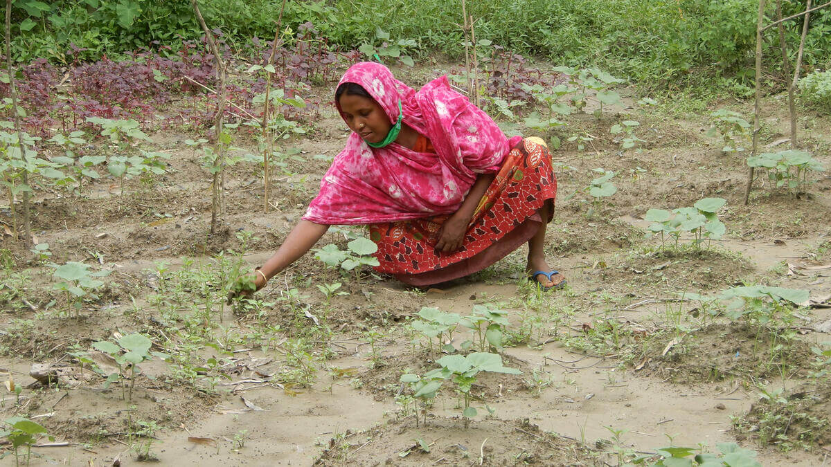 Jaheda transforme son jardin en source de revenus stables